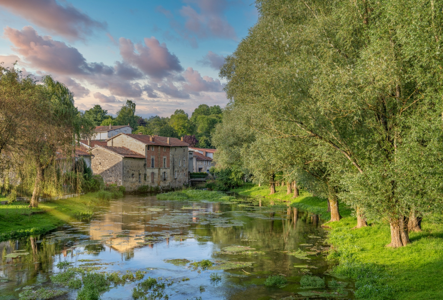 La nature en Meuse - Meuse Attractivité