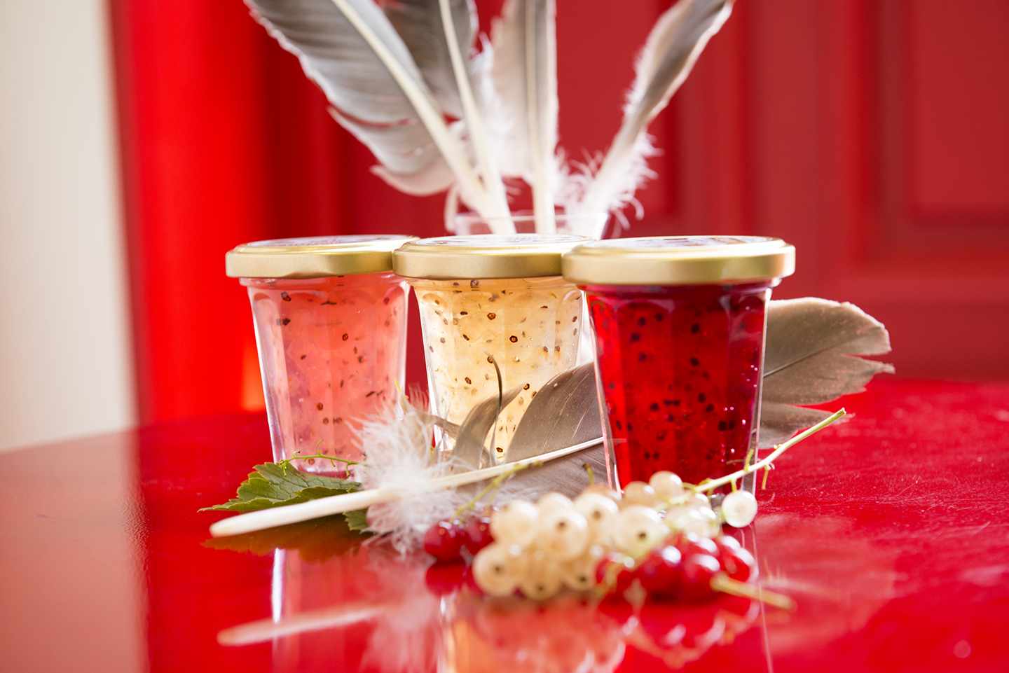 Confiture de groseilles épépinées à la plume d'oie